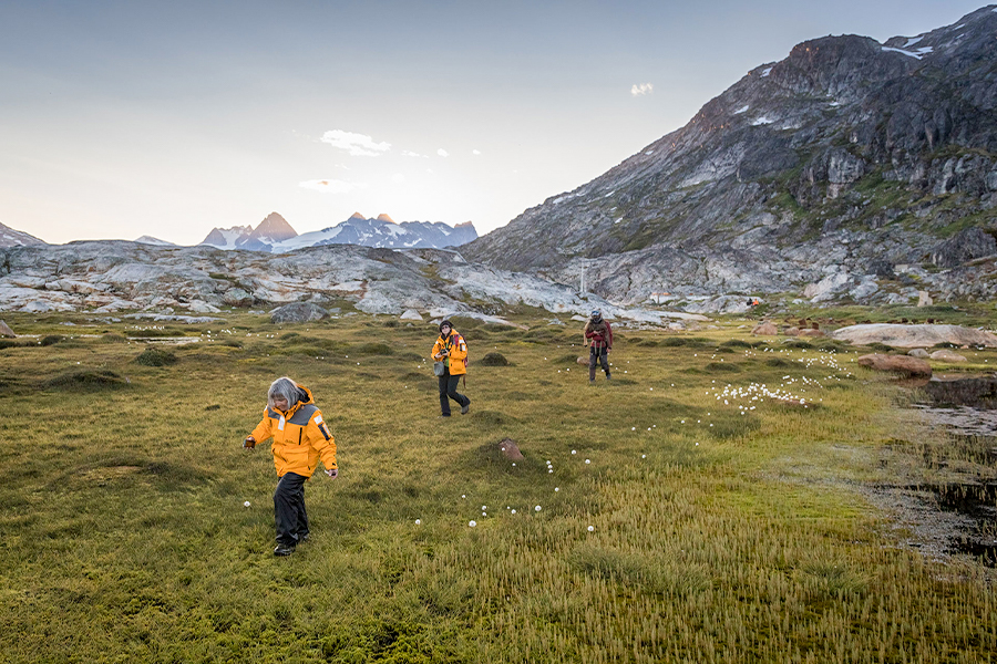 北極 | 西格陵蘭島的寶石 峽灣、冰山和文化GEMS OF WEST GREENLAND Fjords, Icebergs, and ...
